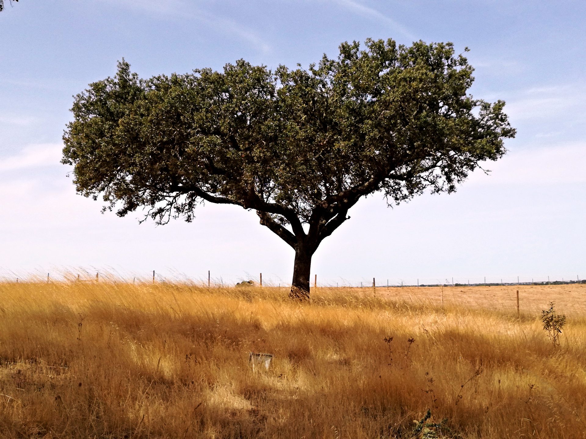 Agro Turismo XISTOS - LIV'ITA